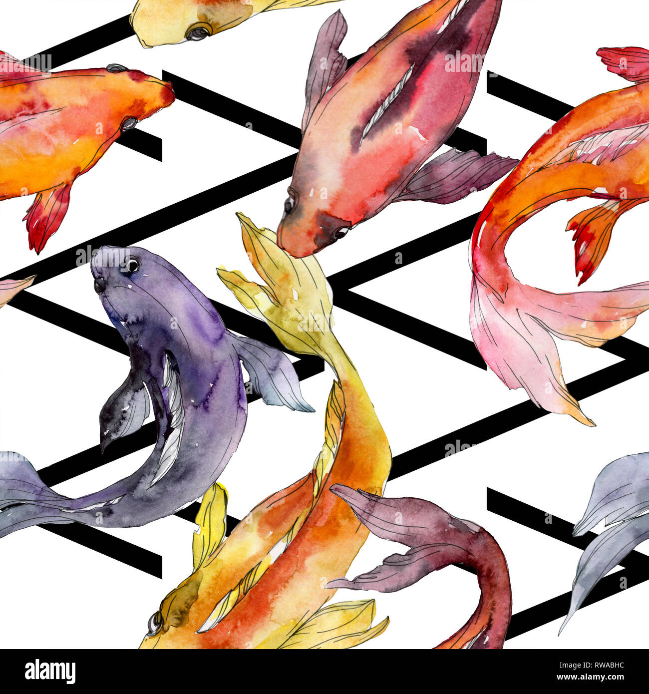 Jeu de poissons aquatiques. Mer Rouge et poissons exotiques intérieur ...