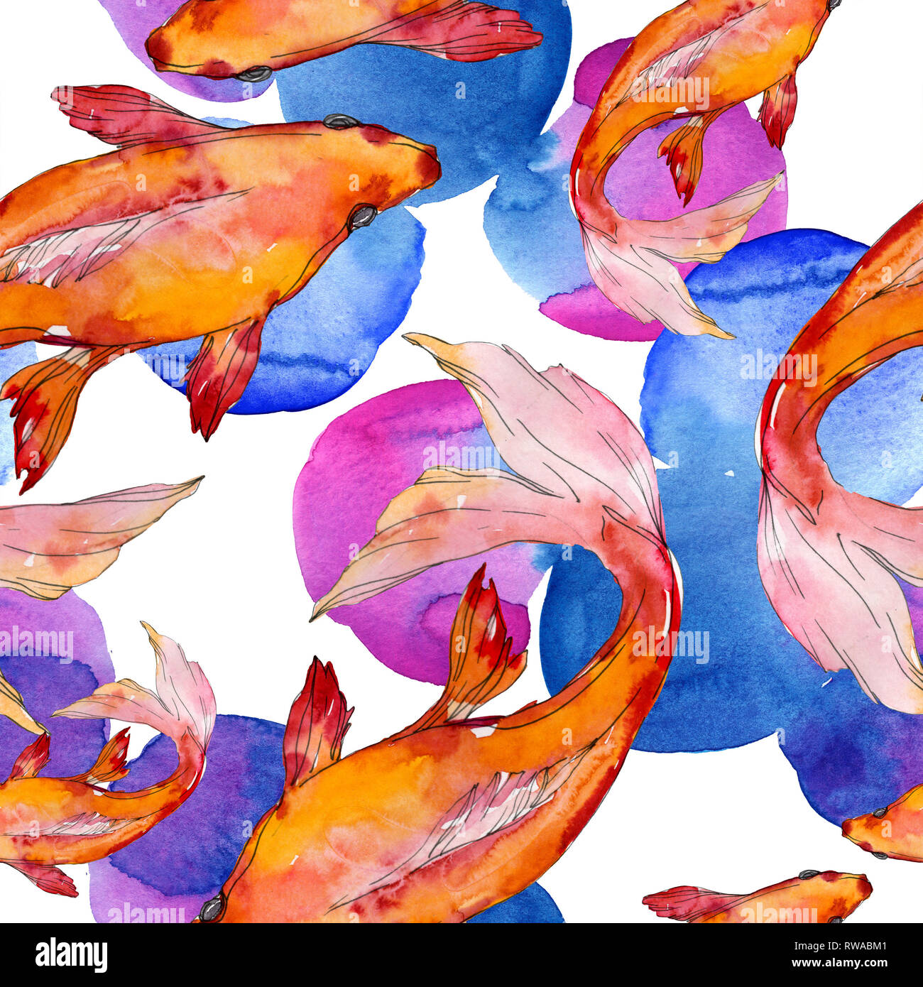 Jeu de poissons aquatiques. Mer Rouge et poissons exotiques intérieur ...