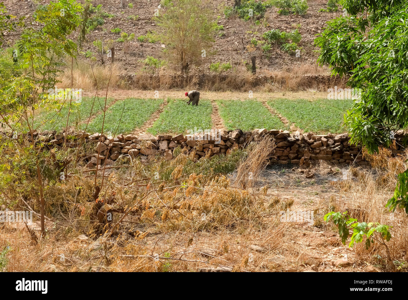 Burkina faso bobo dioulasso village Banque de photographies et d’images ...