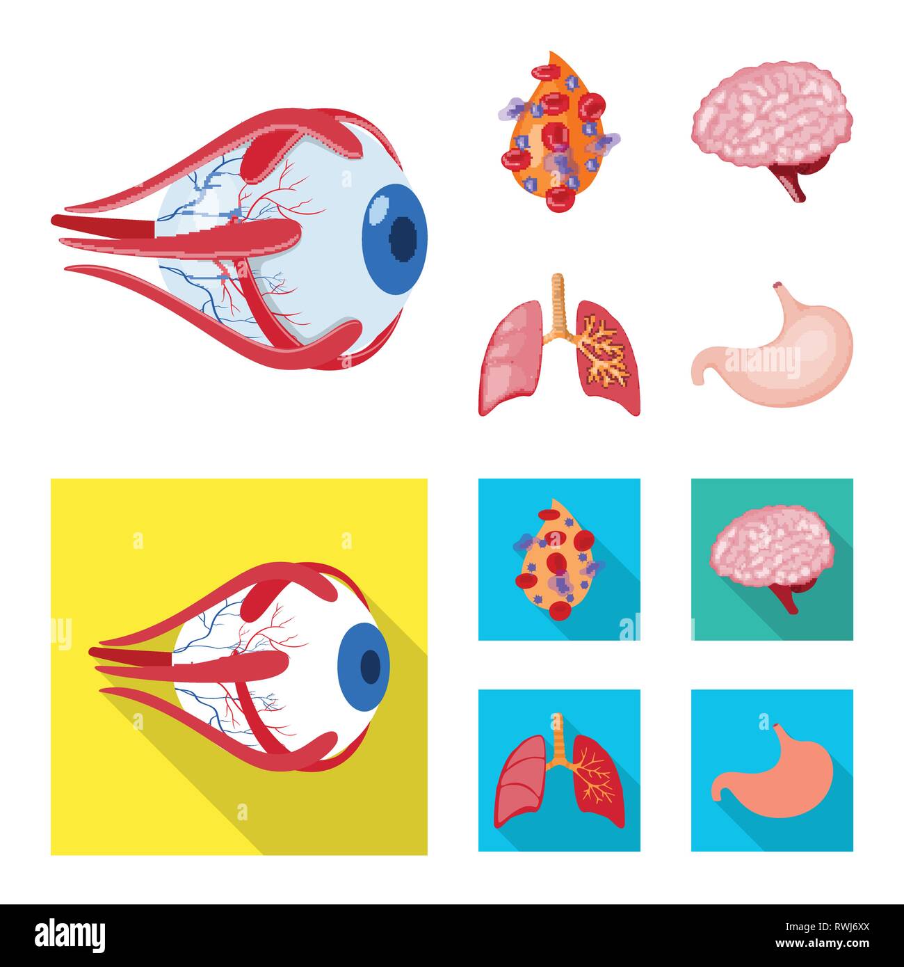 Globe oculaire,,sang,le cerveau,Poumon Estomac,oeil,esprit,plasma ...