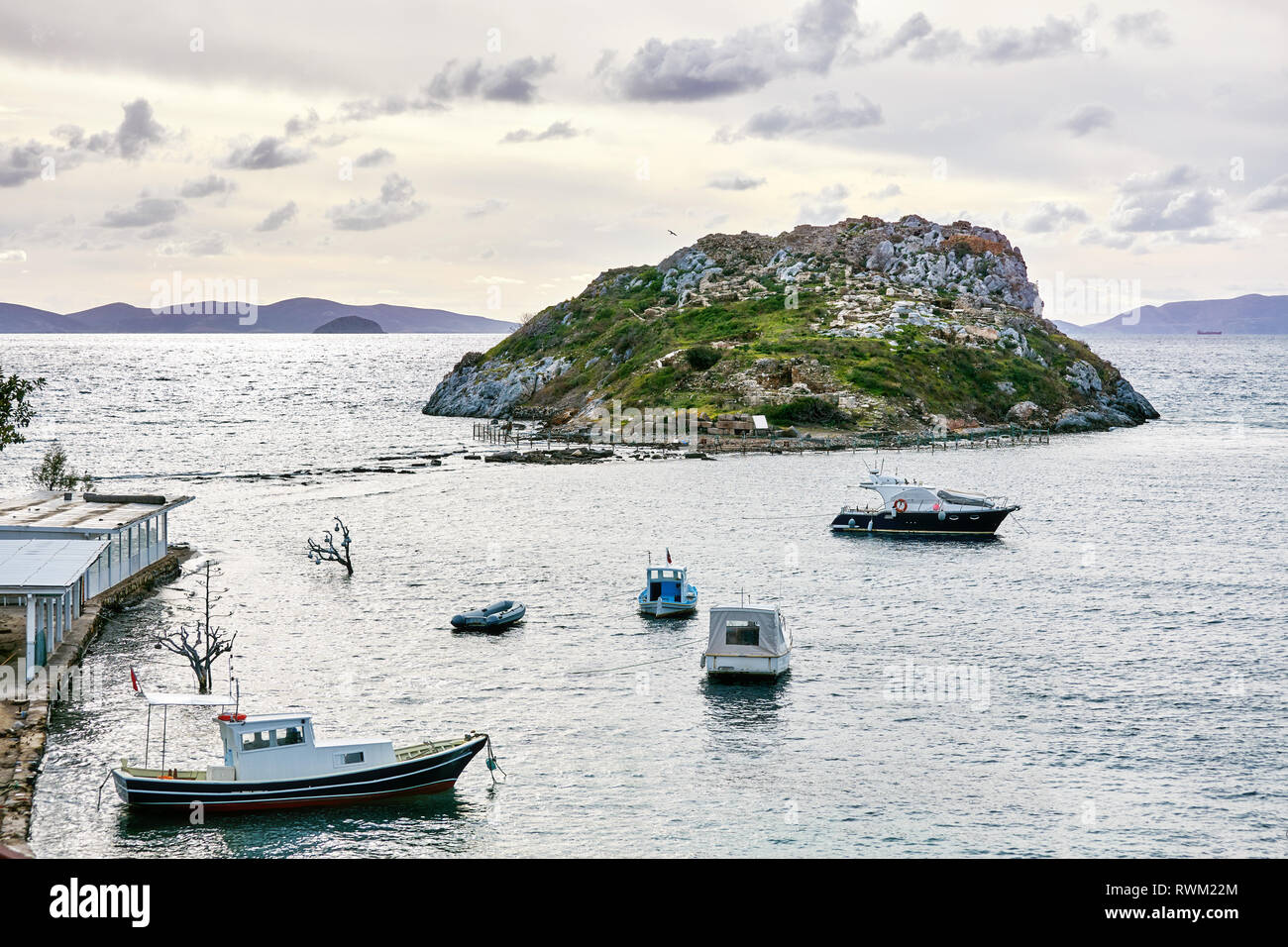 Rabbit island Banque de photographies et d’images à haute résolution ...