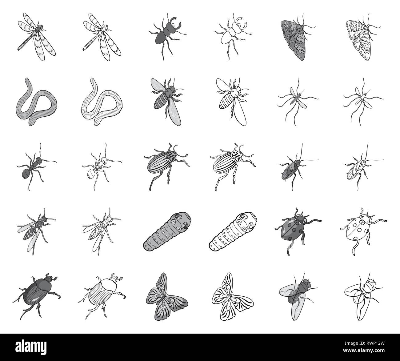Différents types d'insectes,monochrome set d'icônes dans les grandes ...