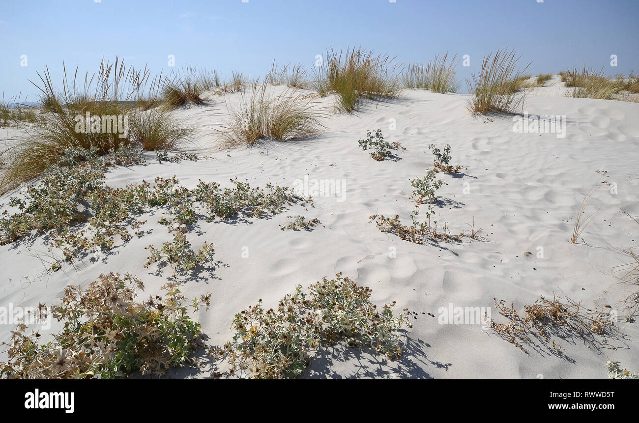La dune rose Banque de photographies et d’images à haute résolution - Alamy