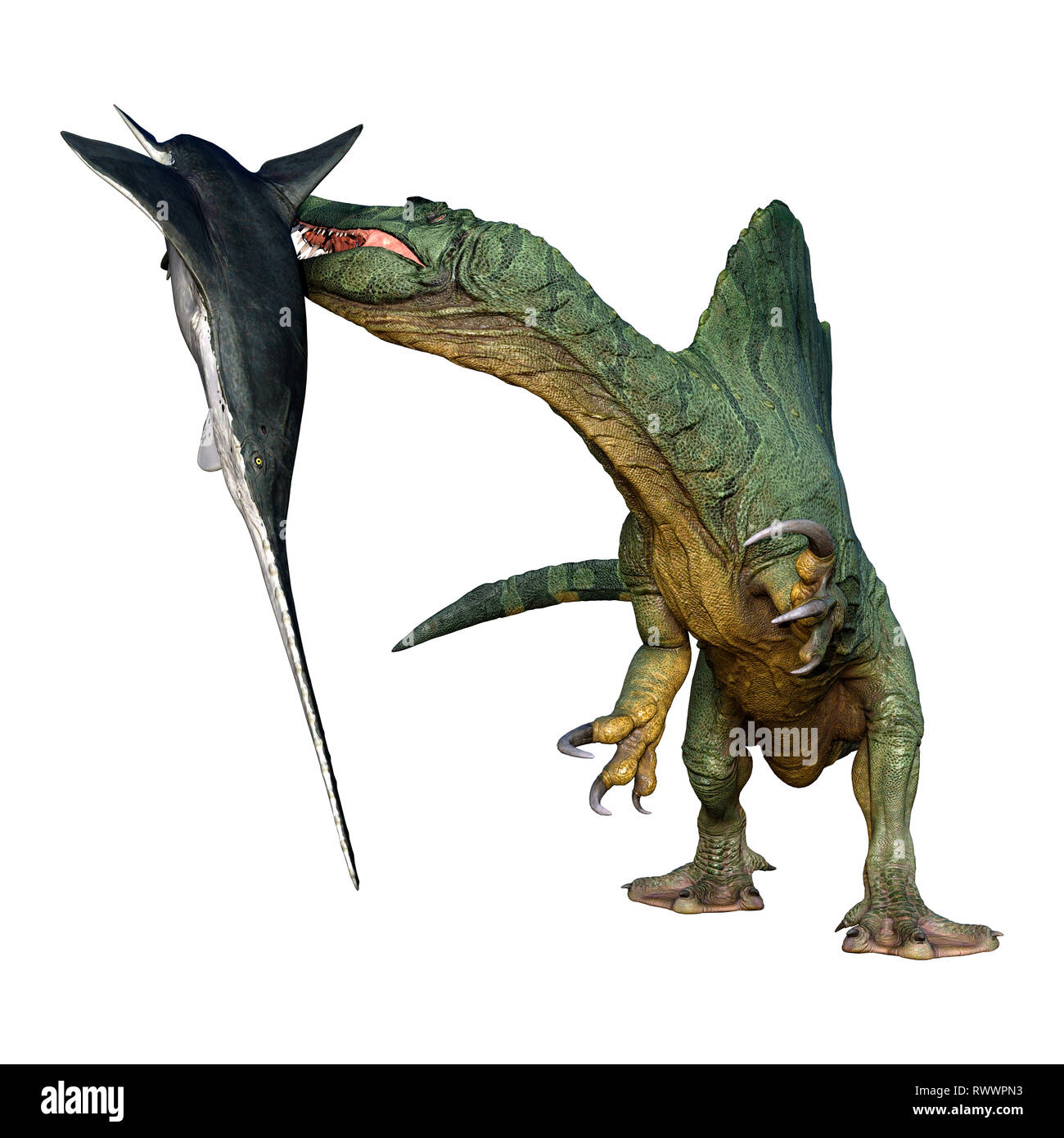 Le rendu 3D d'un dinosaure Spinosaurus et poissons Onchopristis isolé ...