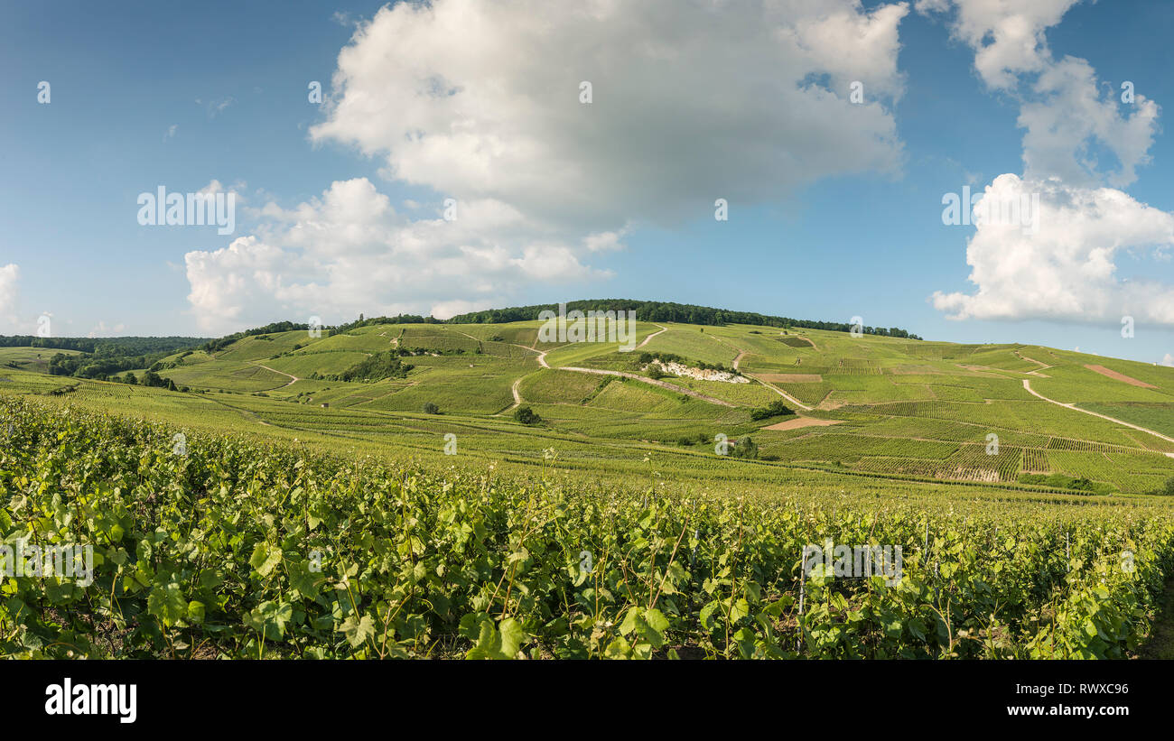 Ay village de champagne Banque de photographies et d’images à haute ...