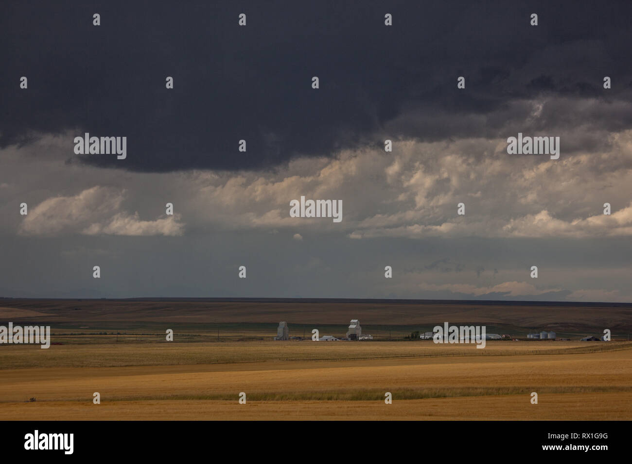 Judith bassin Banque de photographies et d’images à haute résolution ...