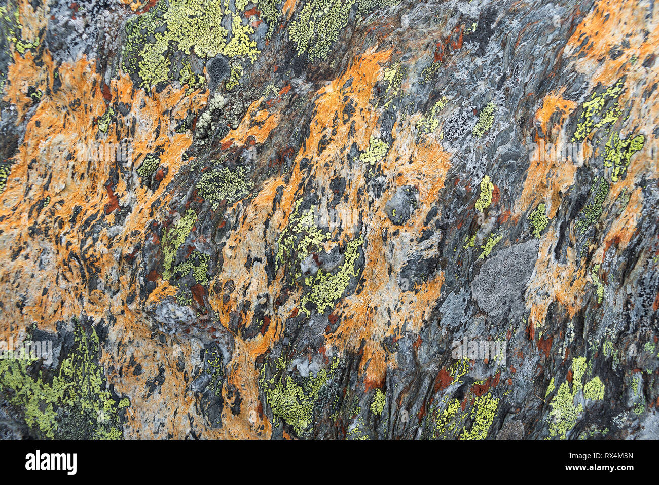 Texture de lichen sur rocher Banque de photographies et d’images à ...
