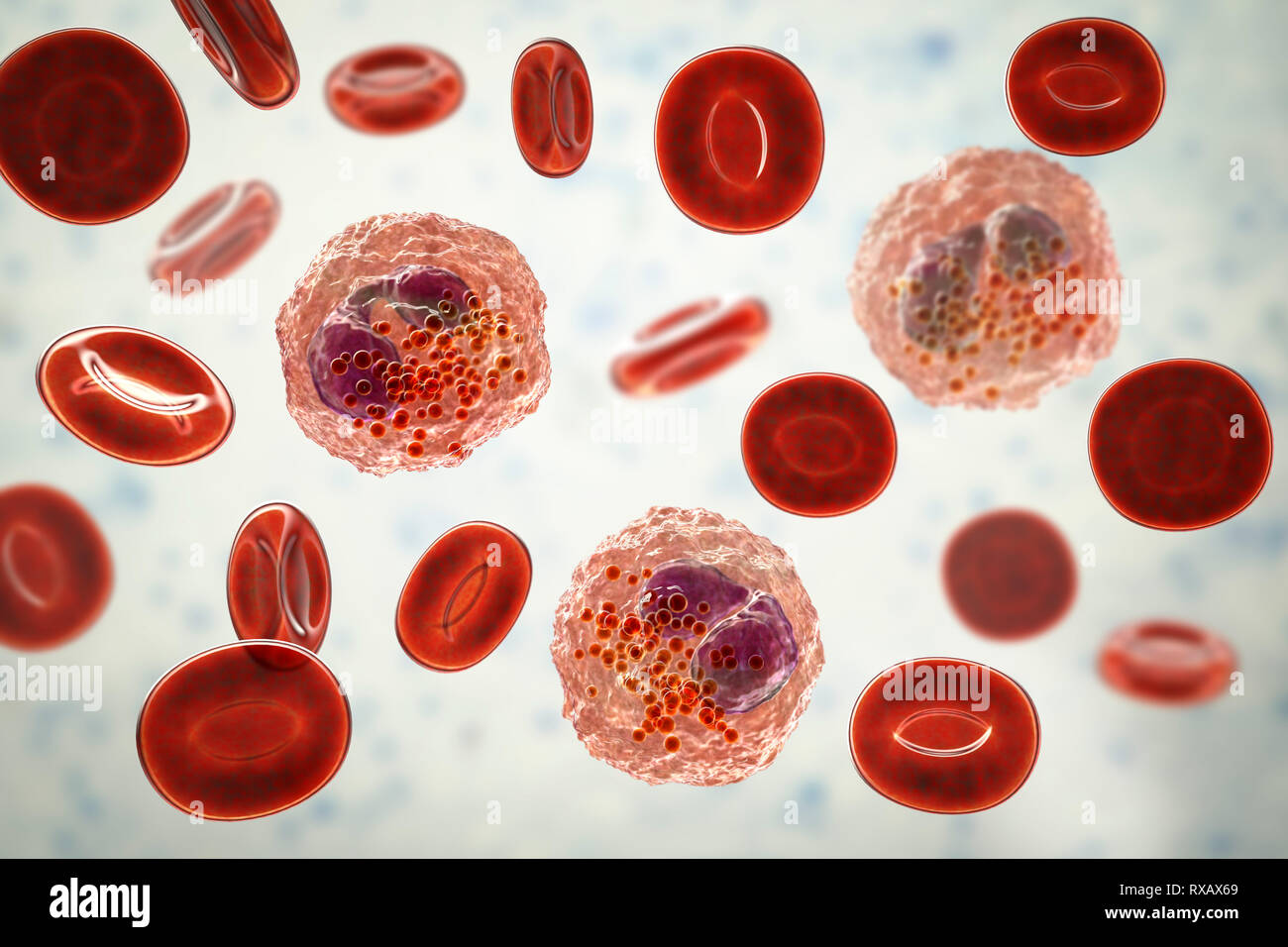 Frottis cytologique Banque de photographies et d’images à haute ...