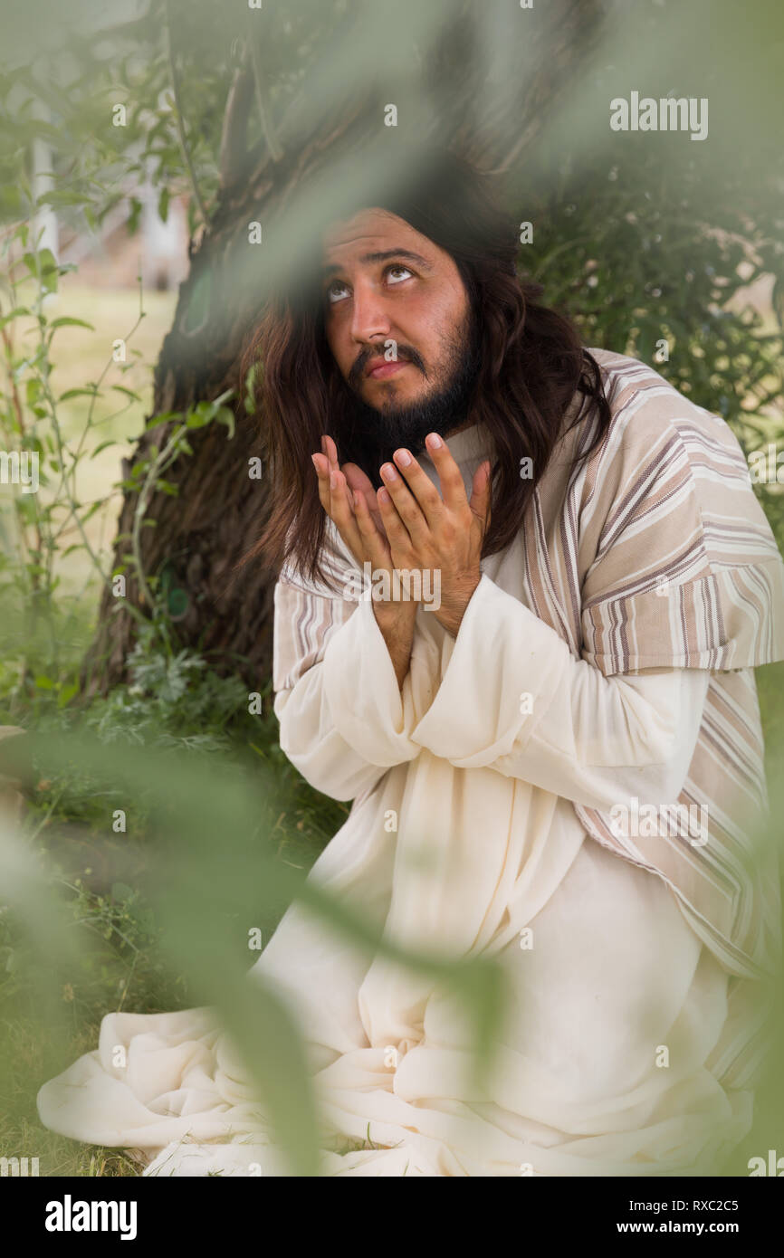 Jésus christ au jardin des oliviers Banque de photographies et d’images ...