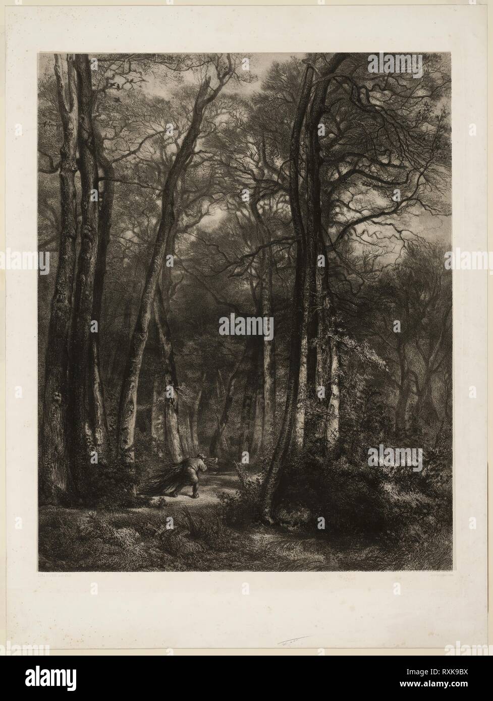 Dans la forêt. Karl Bodmer (Suisse, 1809-1893) ; la figure (broyeur de ...