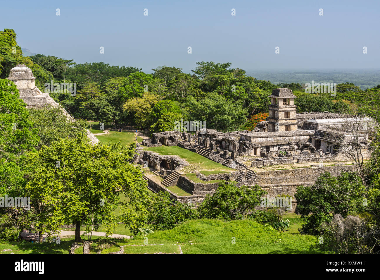 Ruine maya de palenque Banque de photographies et d’images à haute résolution - Alamy