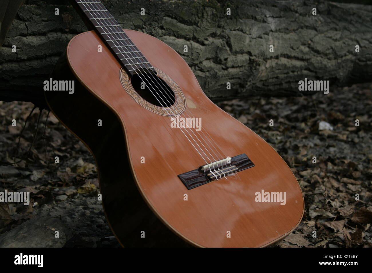 La vie des gitans Banque de photographies et d’images à haute ...