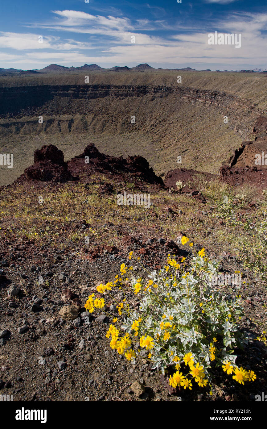 El pinacate Banque de photographies et d’images à haute résolution - Alamy