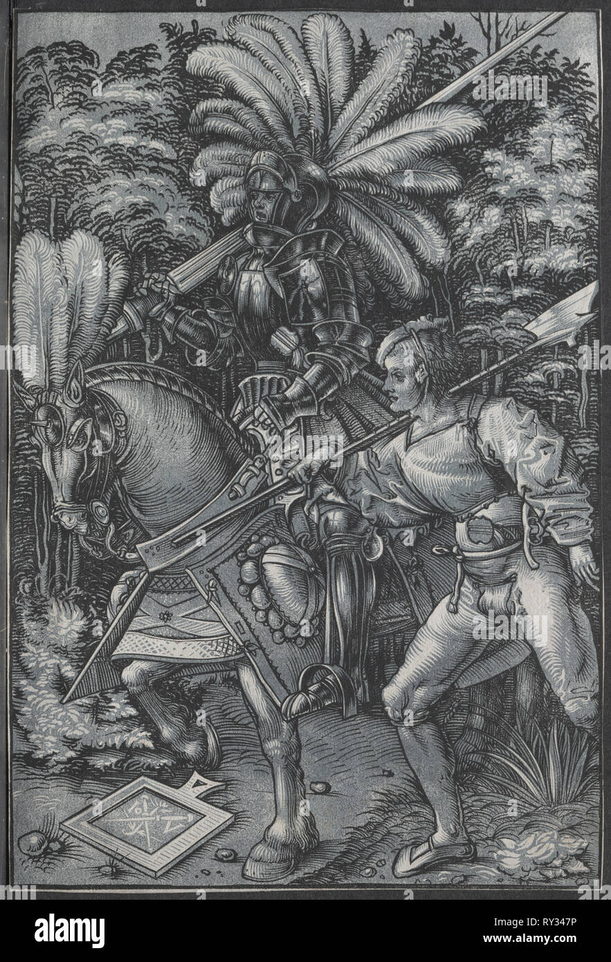 Chevalier bleu Banque de photographies et d’images à haute résolution ...