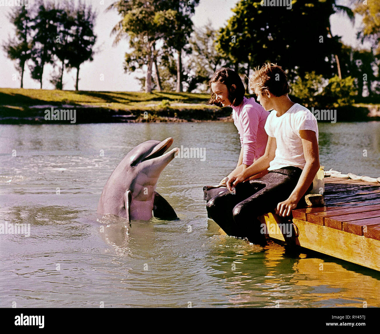 Flipper 1964 Banque de photographies et d’images à haute résolution - Alamy