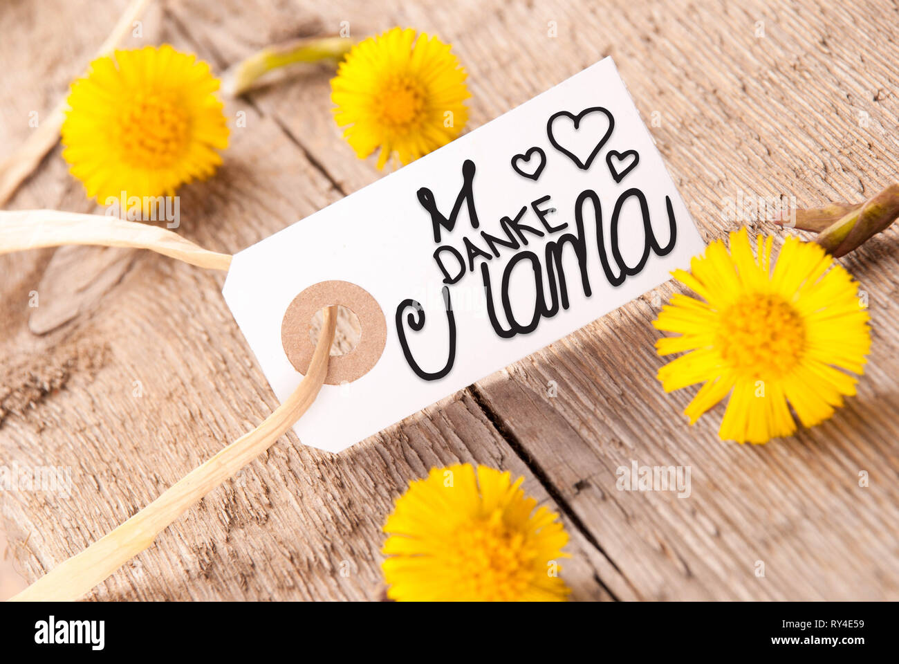 Danke mama Banque de photographies et d’images à haute résolution - Alamy