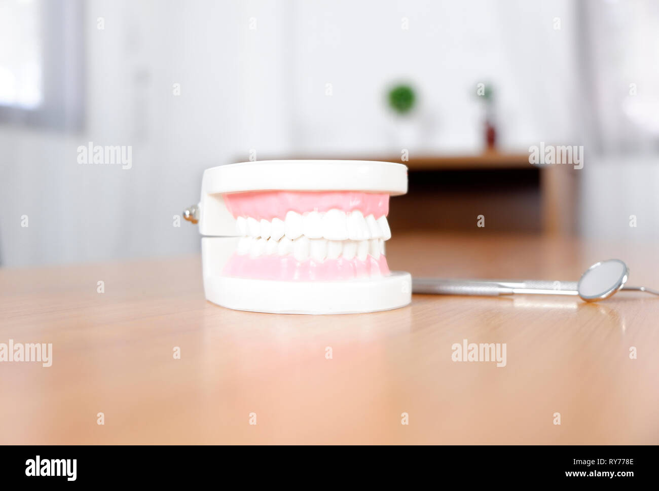 Modèle de dents sur la table du dentiste dans office, dentaires et ...