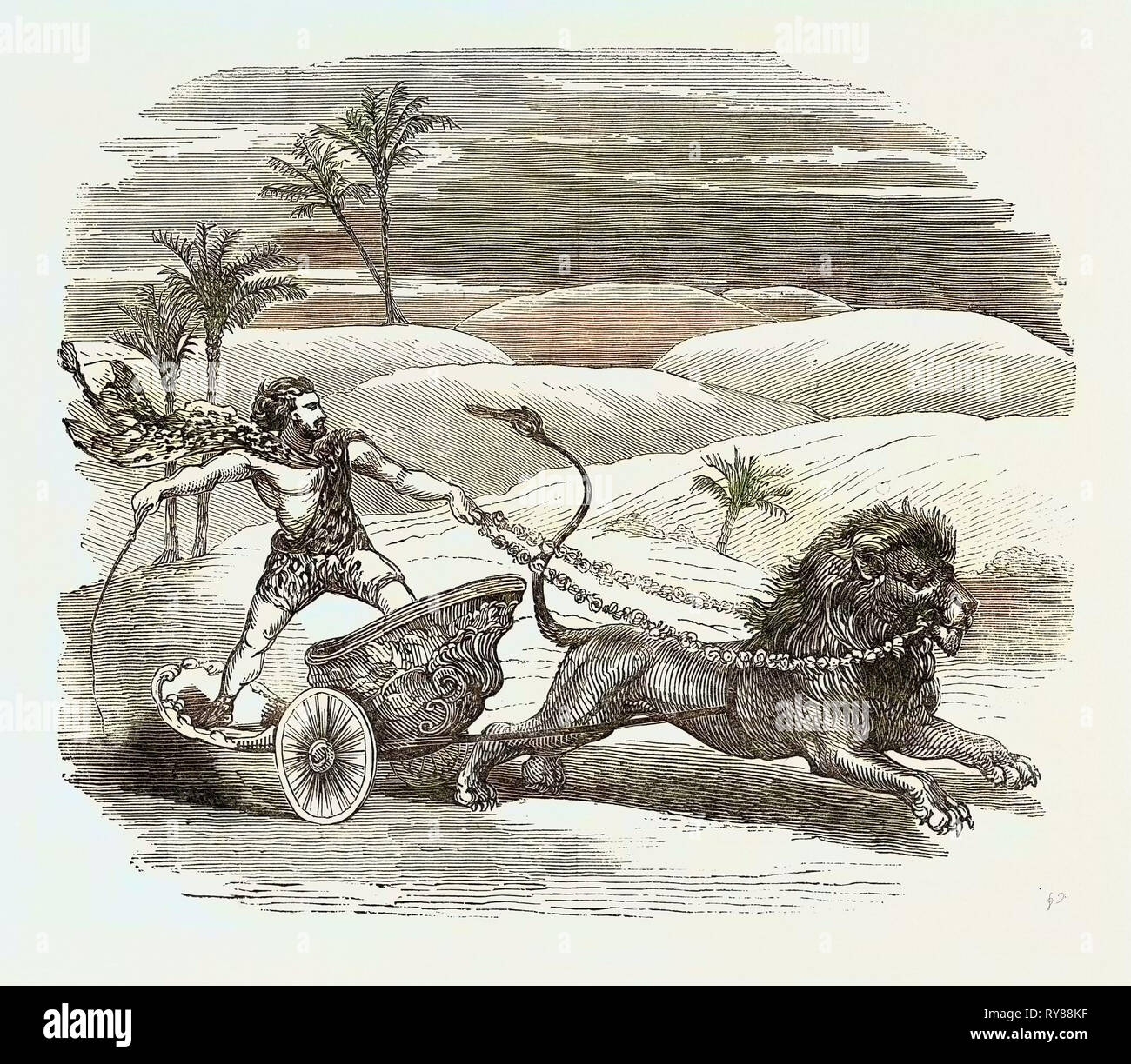 Char de lion Banque de photographies et d’images à haute résolution - Alamy