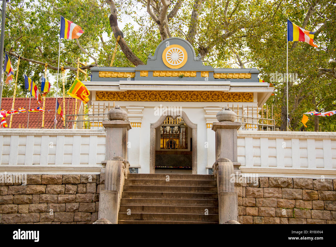 Sri maha bodhi Banque de photographies et d’images à haute résolution ...