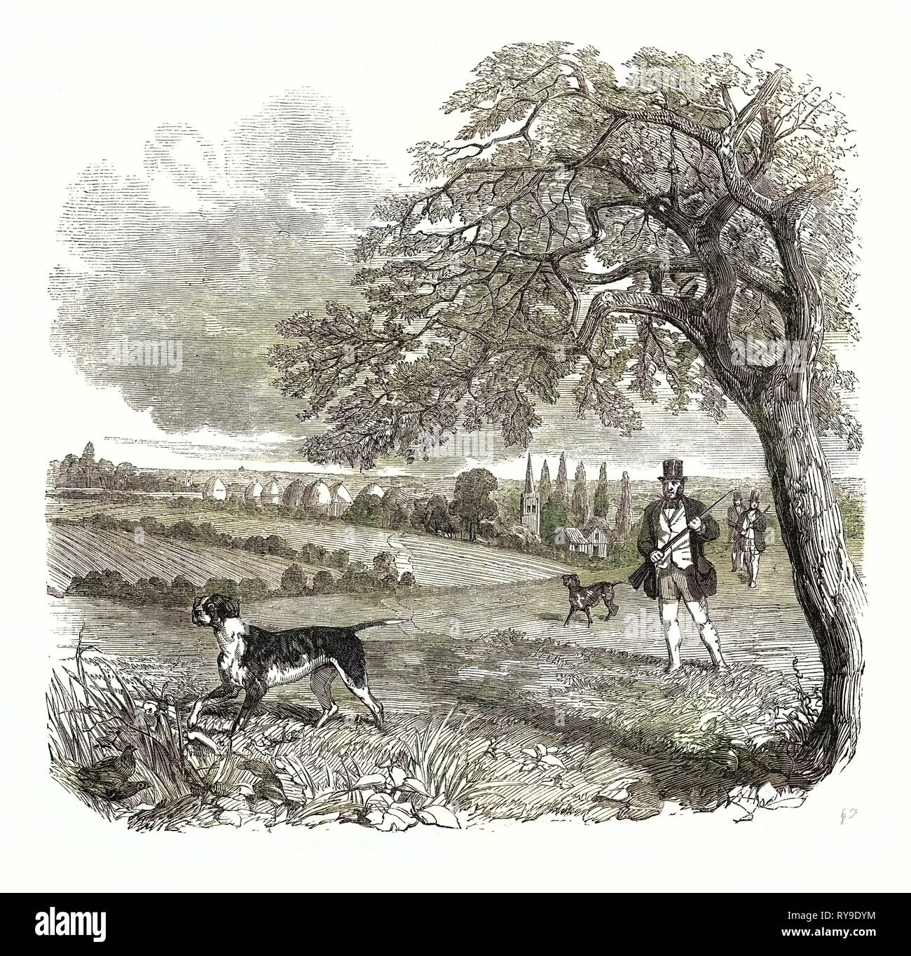 Chasse aux perdrix Banque d'images détourées - Alamy