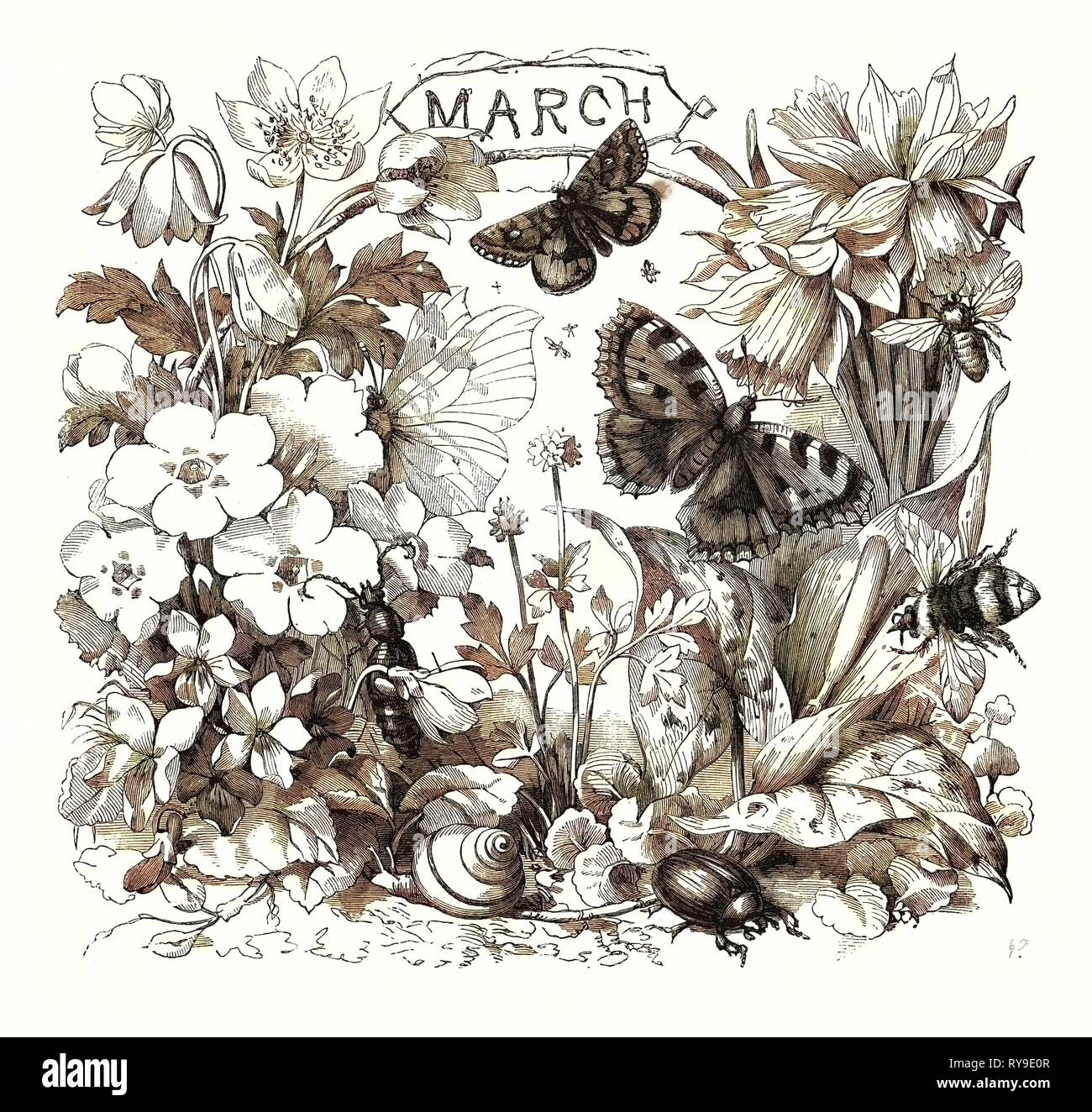 Calendrier de mars Banque de photographies et d’images à haute ...