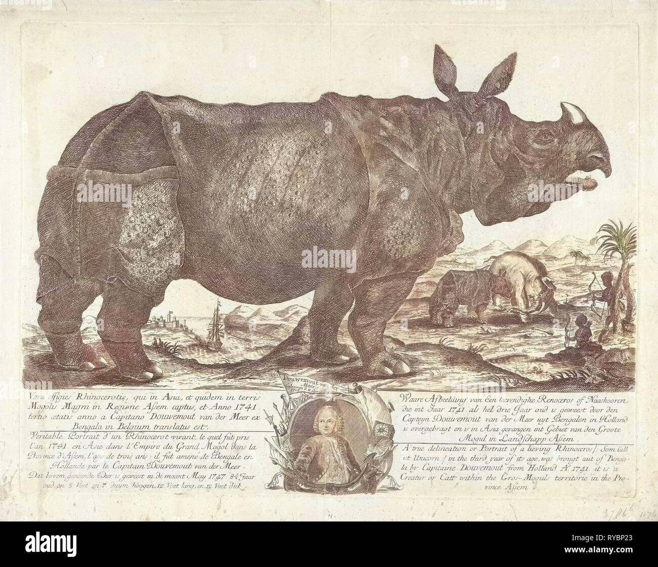 Rhinoceros clara Banque de photographies et d’images à haute résolution ...