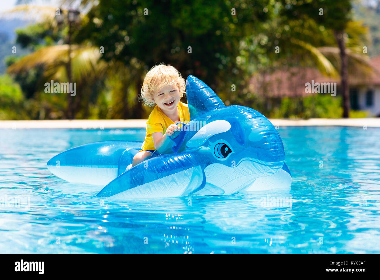 Inflatable Dolphin Beach Toy Banque De Photographies Et Dimages à