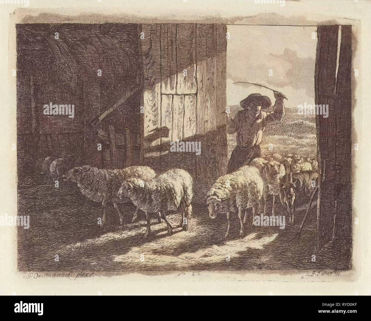 Berger laisse Banque de photographies et d’images à haute résolution ...