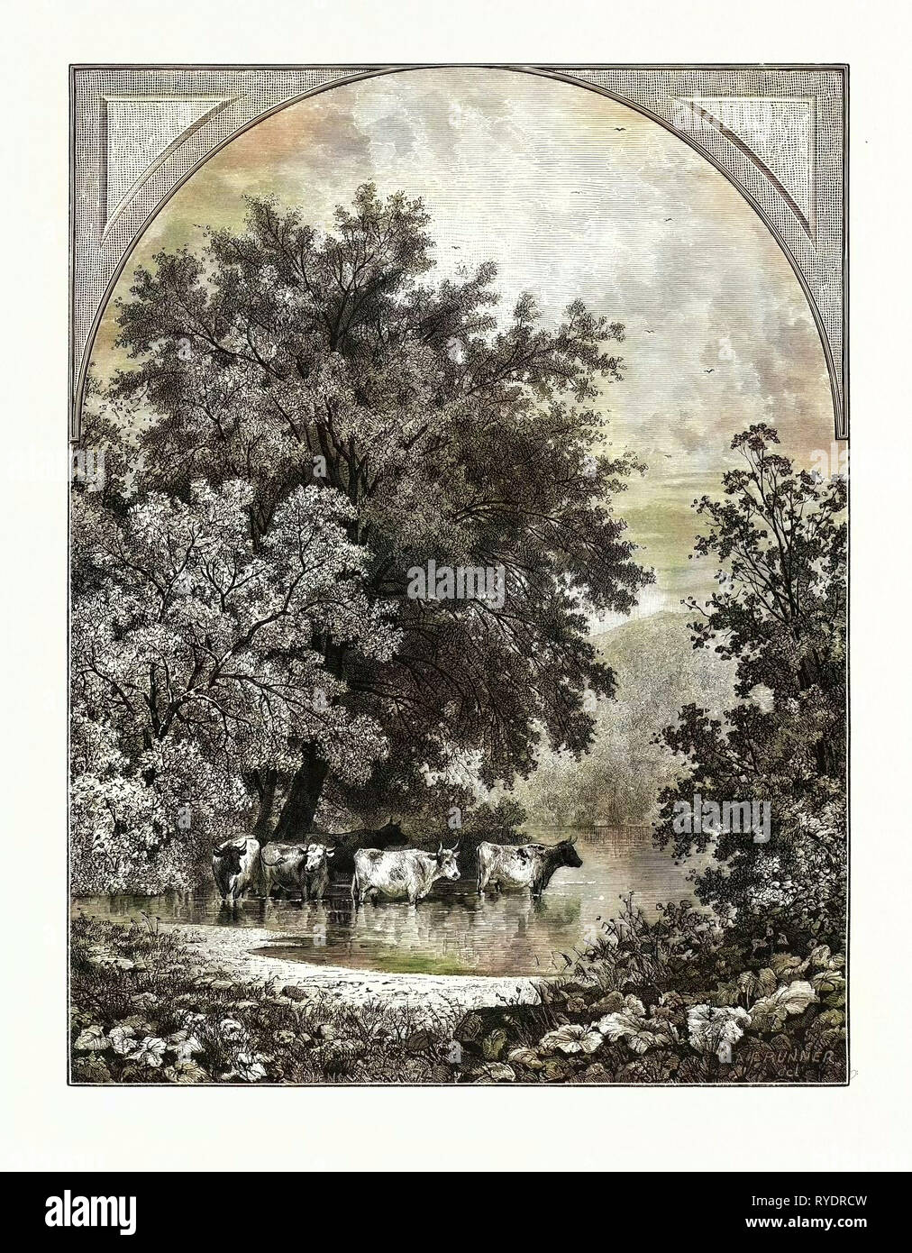 The elms Banque de photographies et d’images à haute résolution - Alamy