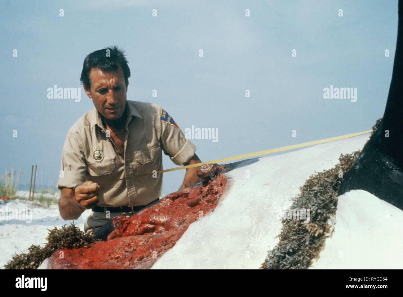 ROY SCHEIDER, JAWS 2, 1978 Photo Stock - Alamy