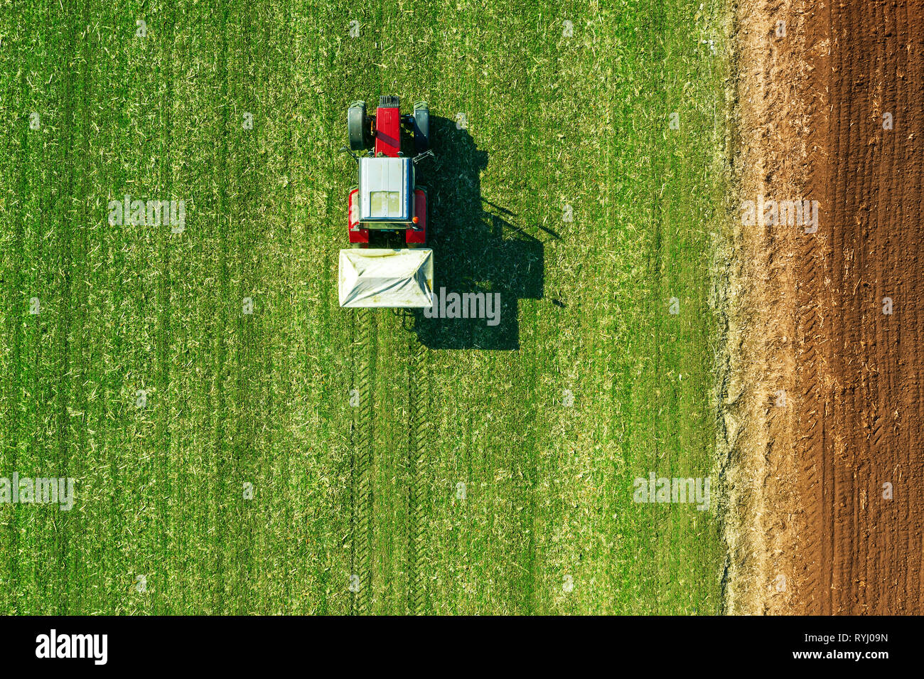 Tracteur agricole est la fertilisation des cultures de blé champ avec ...
