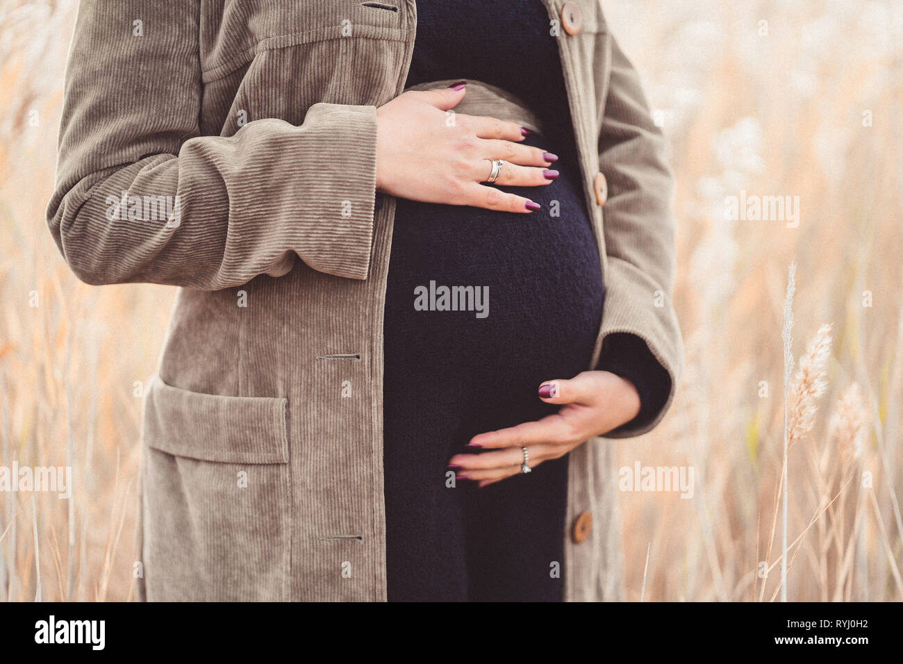 Femme Enceinte Méconnaissable En Robe Noire Debout Dans Des Roseaux Et