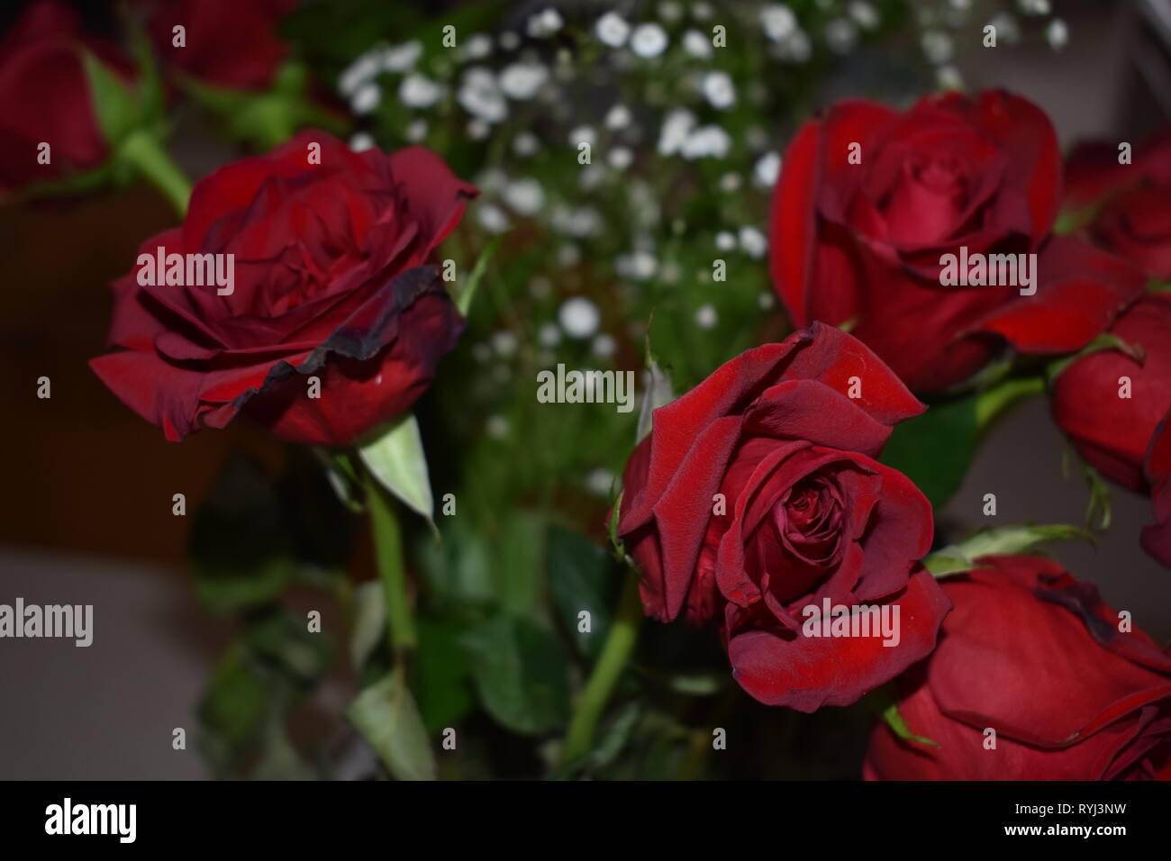 Bouquet de rose rouge Banque de photographies et d’images à haute ...
