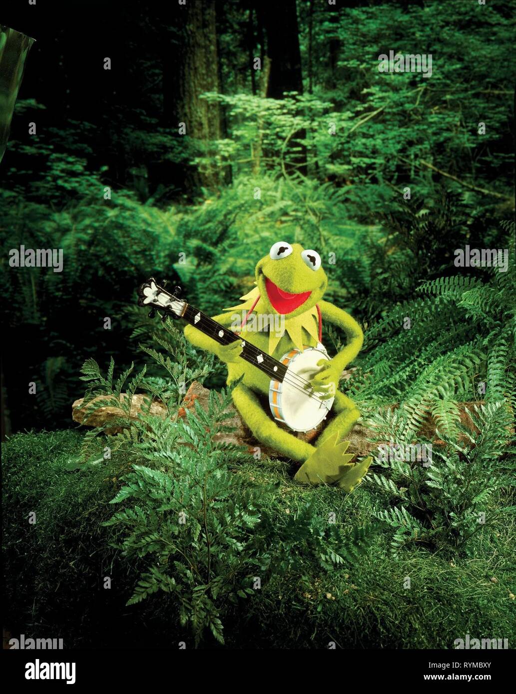Kermit Muppet Banque d'image et photos - Alamy