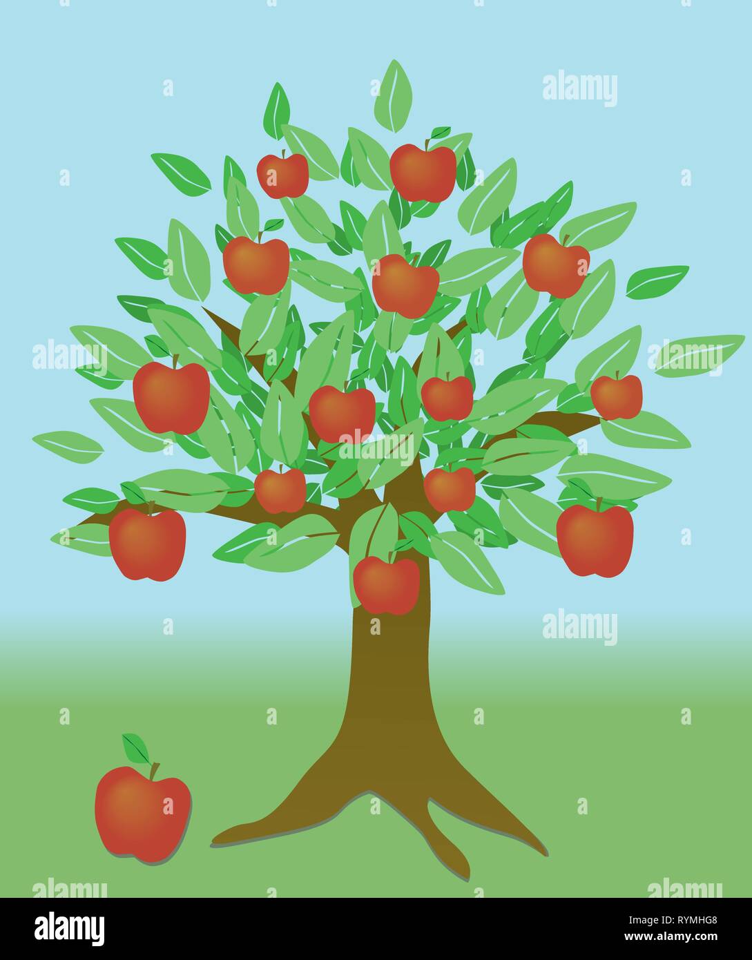 Arbre avec feuilles et pommes Banque d'images vectorielles - Alamy