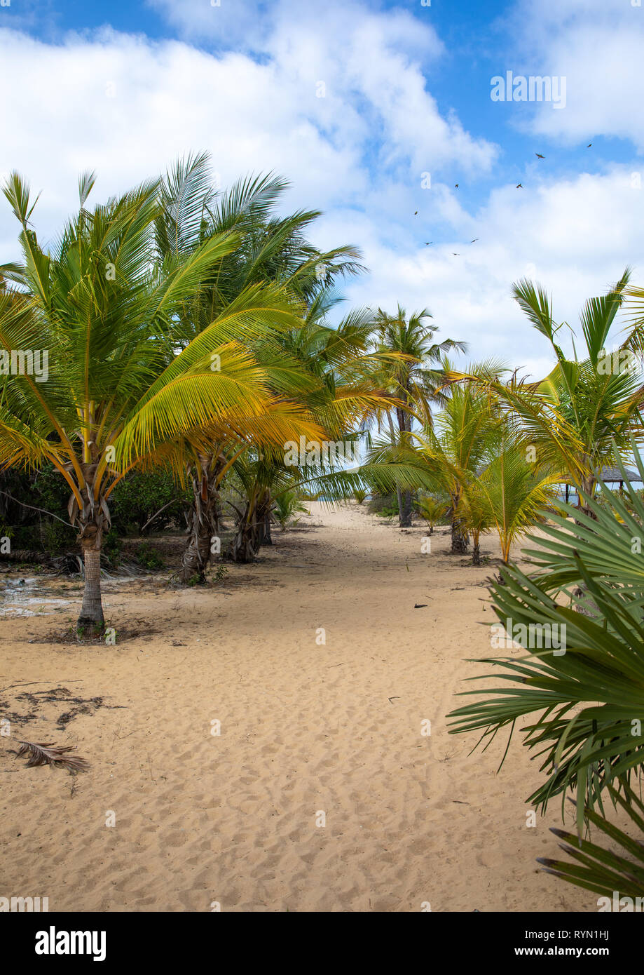 Plage de kizingoni Banque de photographies et d’images à haute ...