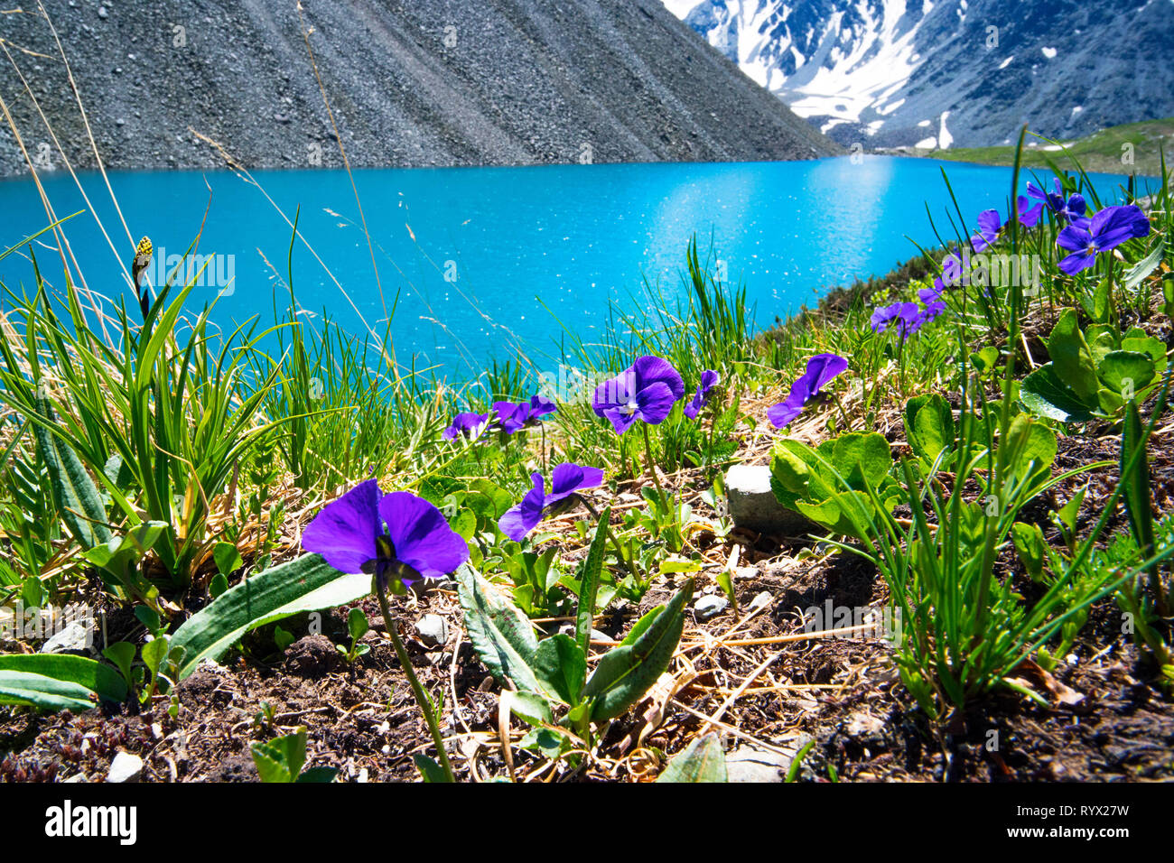 Paysage avec un lac haut dans les montagnes de l'altaï Banque de ...