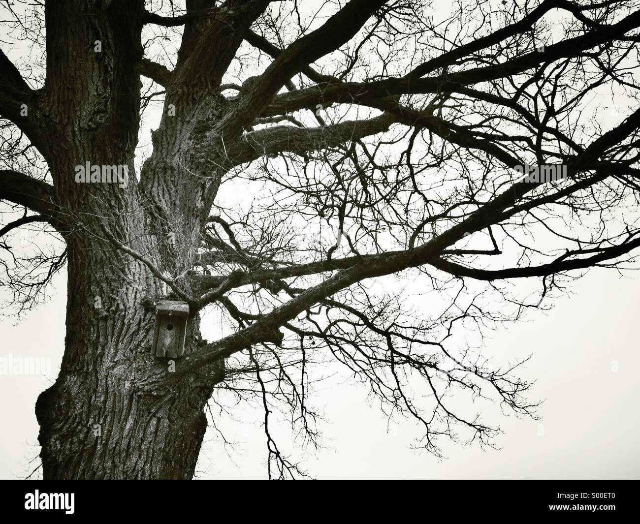Weiler La Tour Banque d'image et photos - Alamy