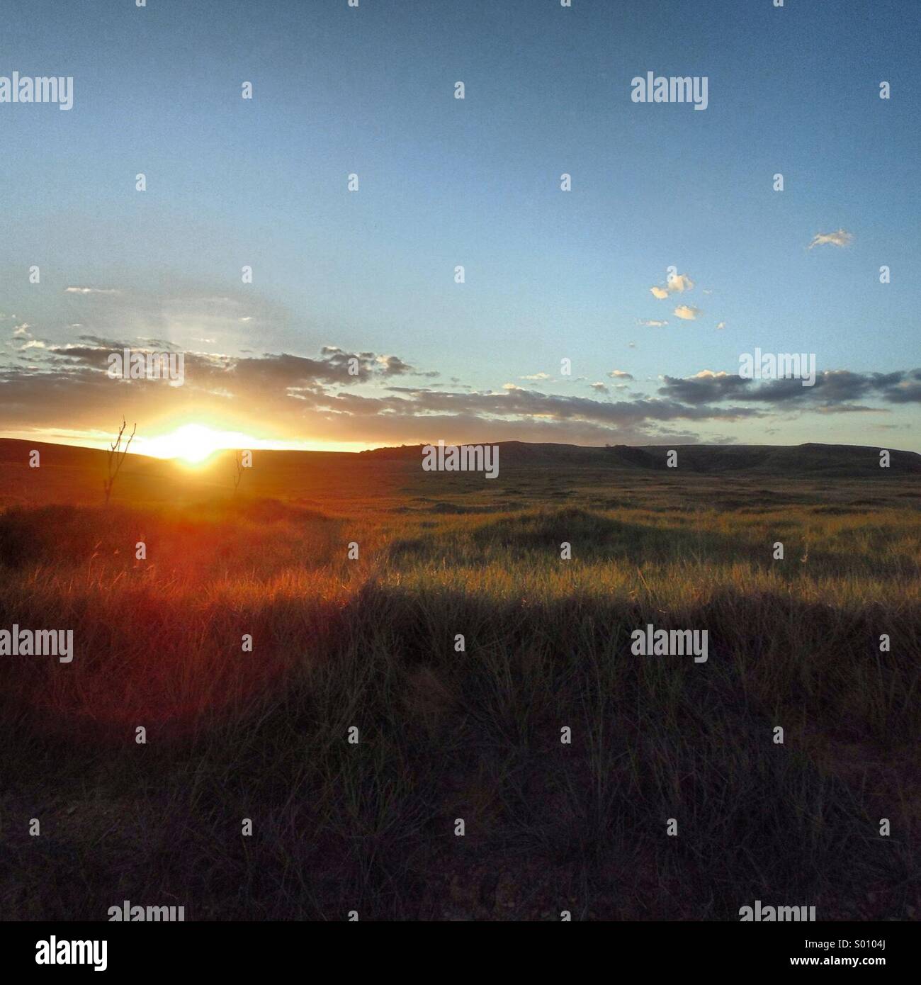 Gran sabana Banque de photographies et d’images à haute résolution - Alamy