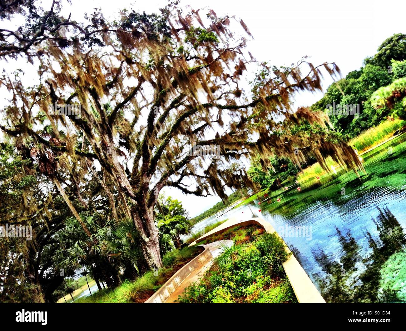 Salt springs Banque de photographies et d’images à haute résolution - Alamy
