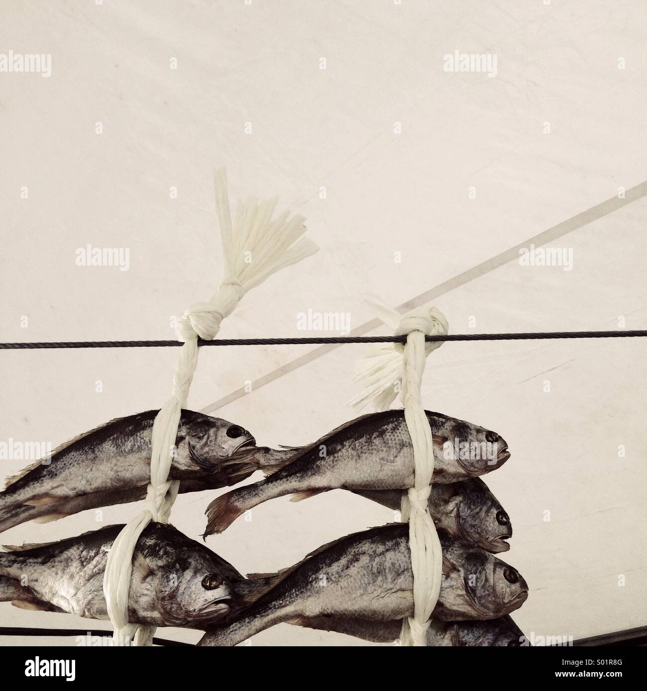 Poisson Sec Banque d'image et photos - Alamy