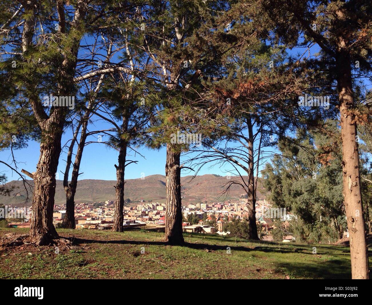 Khénifra maroc Banque de photographies et d’images à haute résolution ...