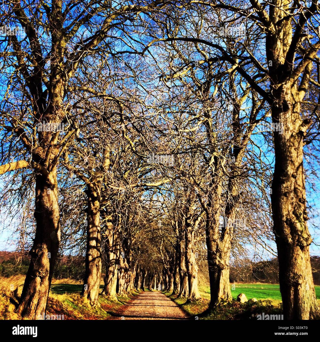 Route sinistre Banque de photographies et d’images à haute résolution ...