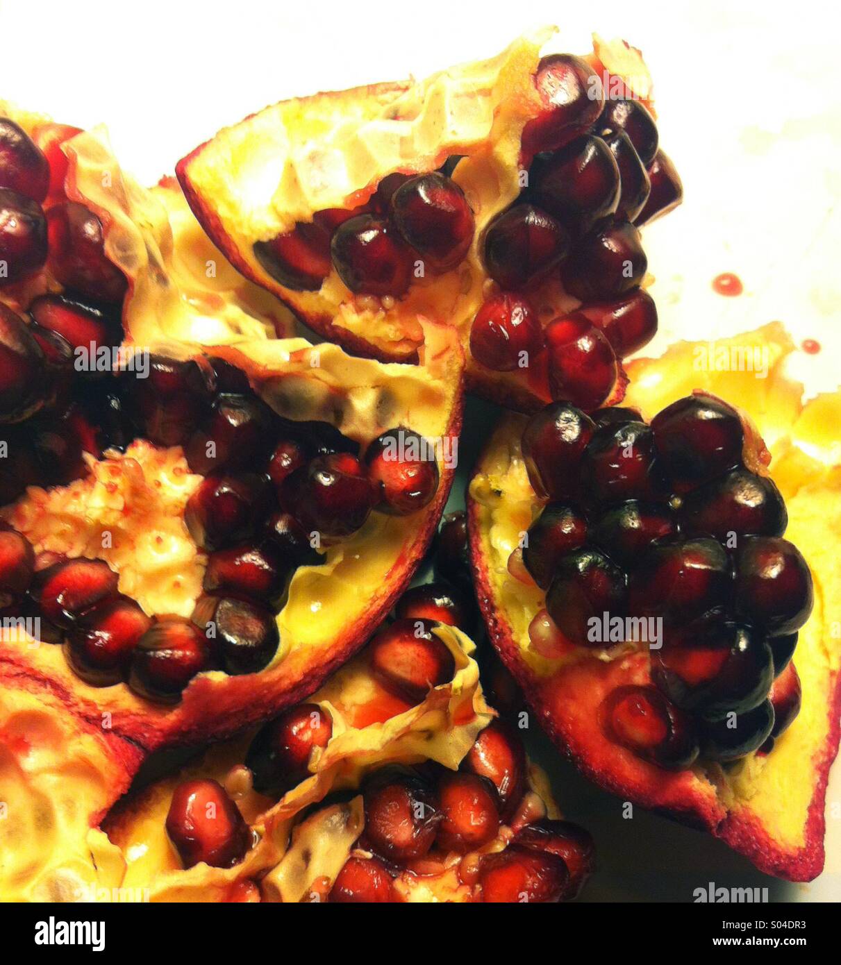 Graines rouges Banque de photographies et d’images à haute résolution ...