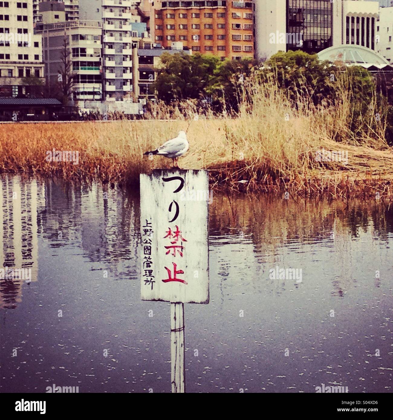 Oiseau avec signe Banque de photographies et d’images à haute ...