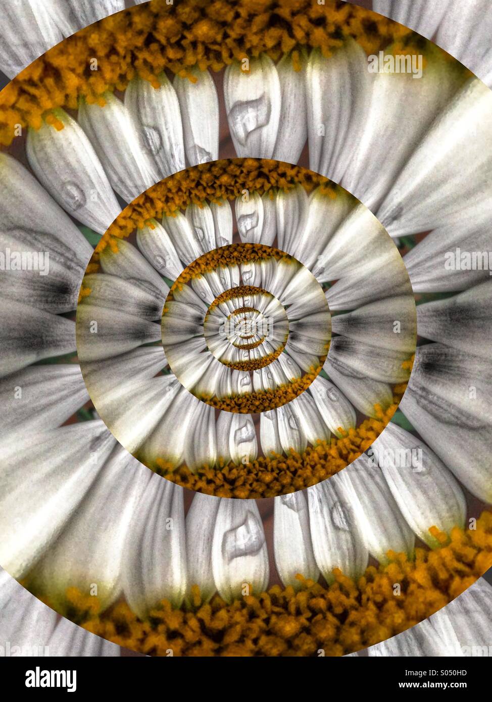 Droste effect Banque de photographies et d’images à haute résolution ...