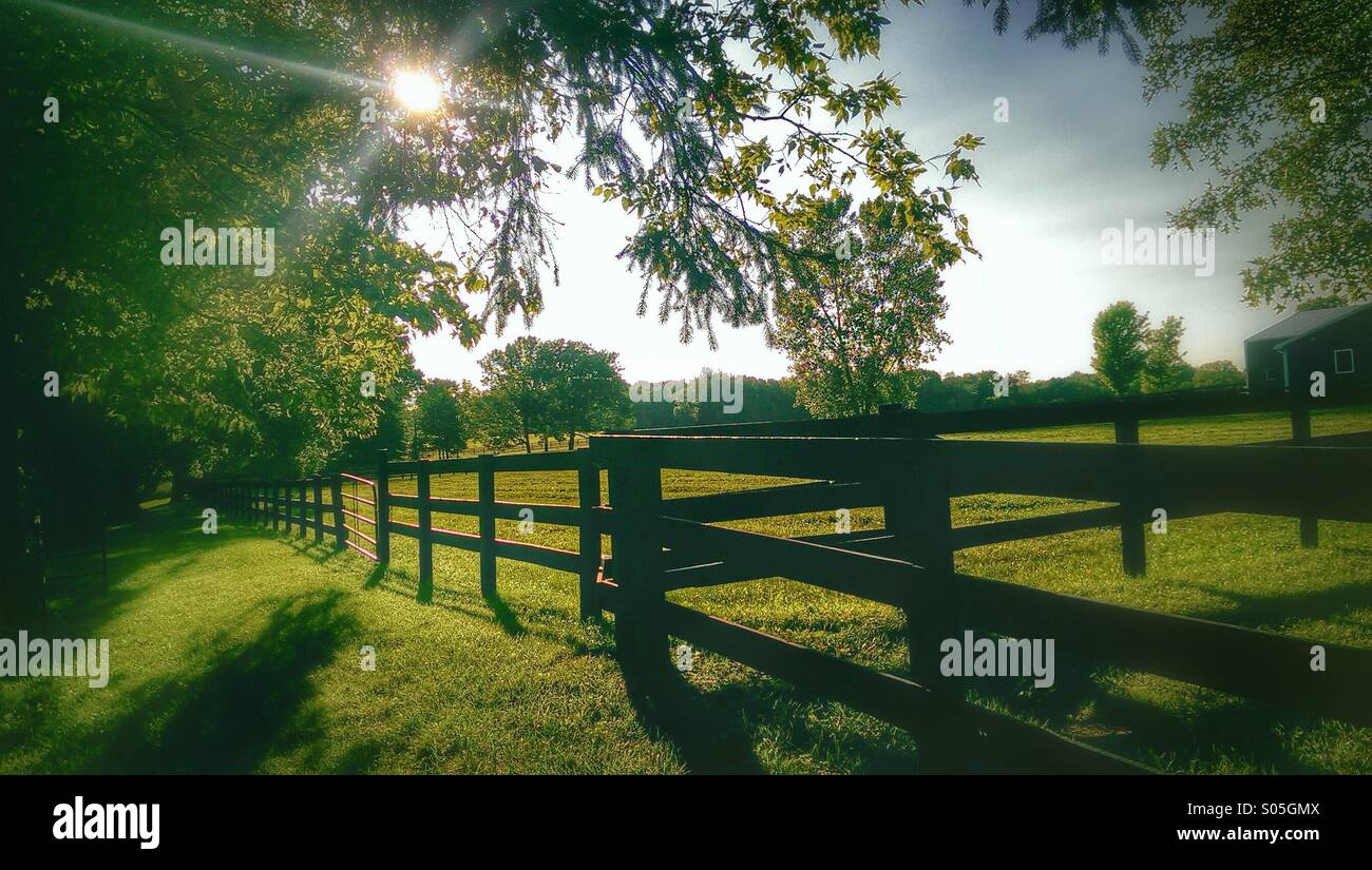 Rayon de lumière Banque de photographies et d’images à haute résolution ...