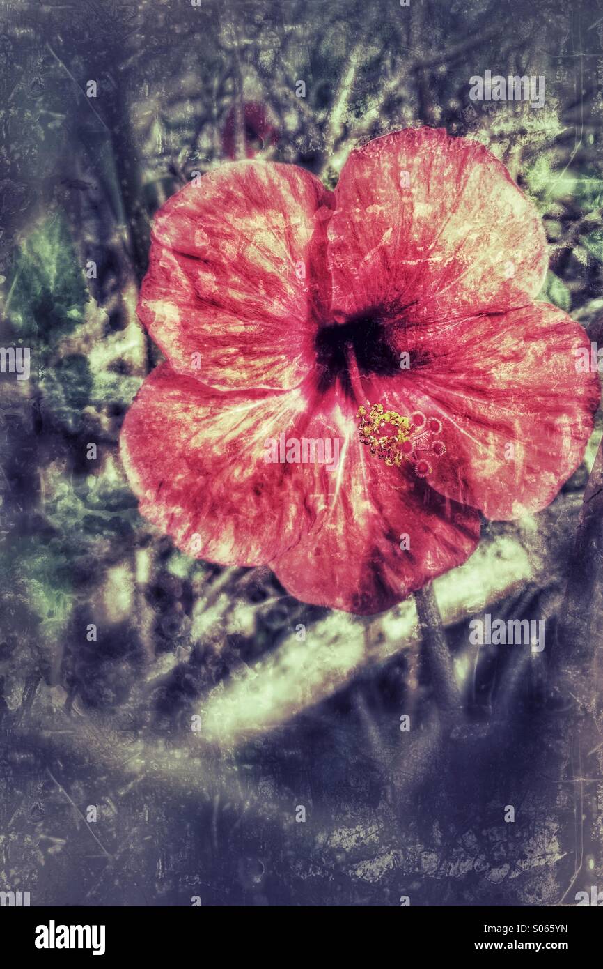 Mur De Pierre Rouge Banque d'image et photos - Alamy