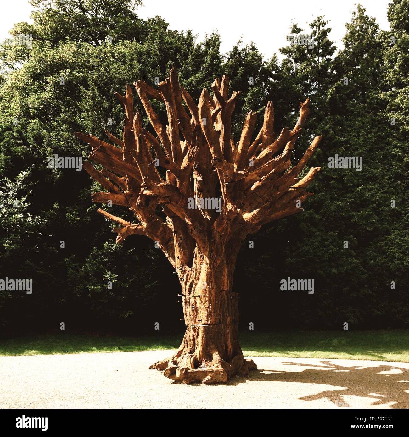 Sculptures d'arbre de fer Banque de photographies et d’images à haute ...