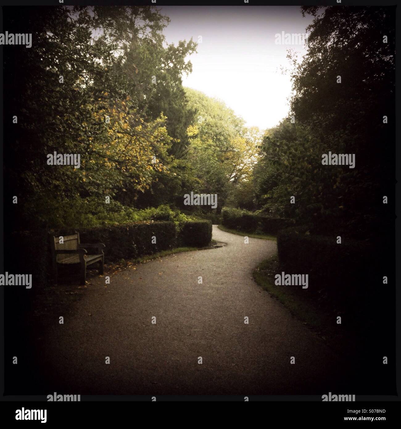 Trottoir sinueux Banque de photographies et d’images à haute résolution ...